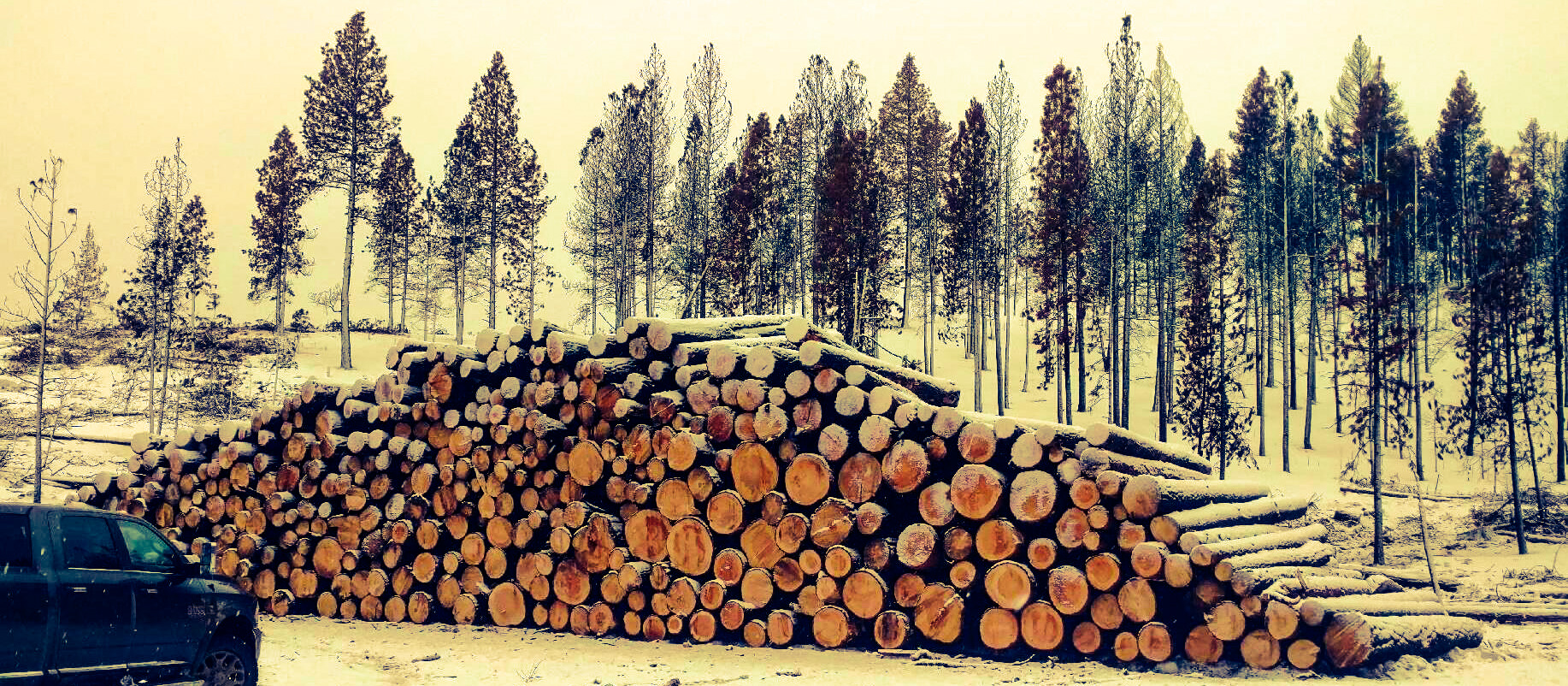 What the LEED Pilot for Wood Is and What It Is Not | Green Building Law ...