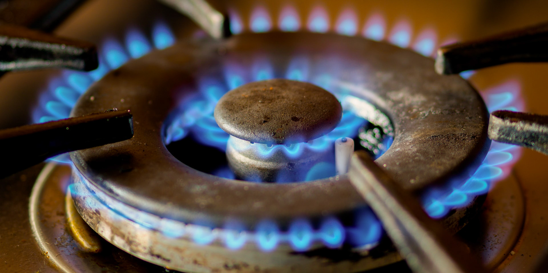 Court Saves Gas Stoves from the Government | Green Building Law Update