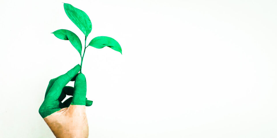 Unmasking "Green Bleaching": A New Chapter in Sustainability Strategies ...