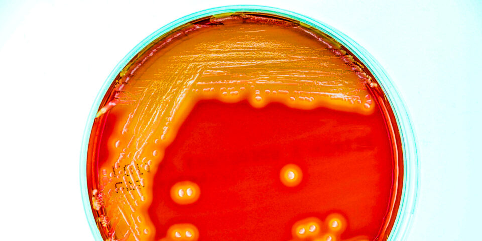 Green Building Law Update | Stuart D. Kaplow, P.A.